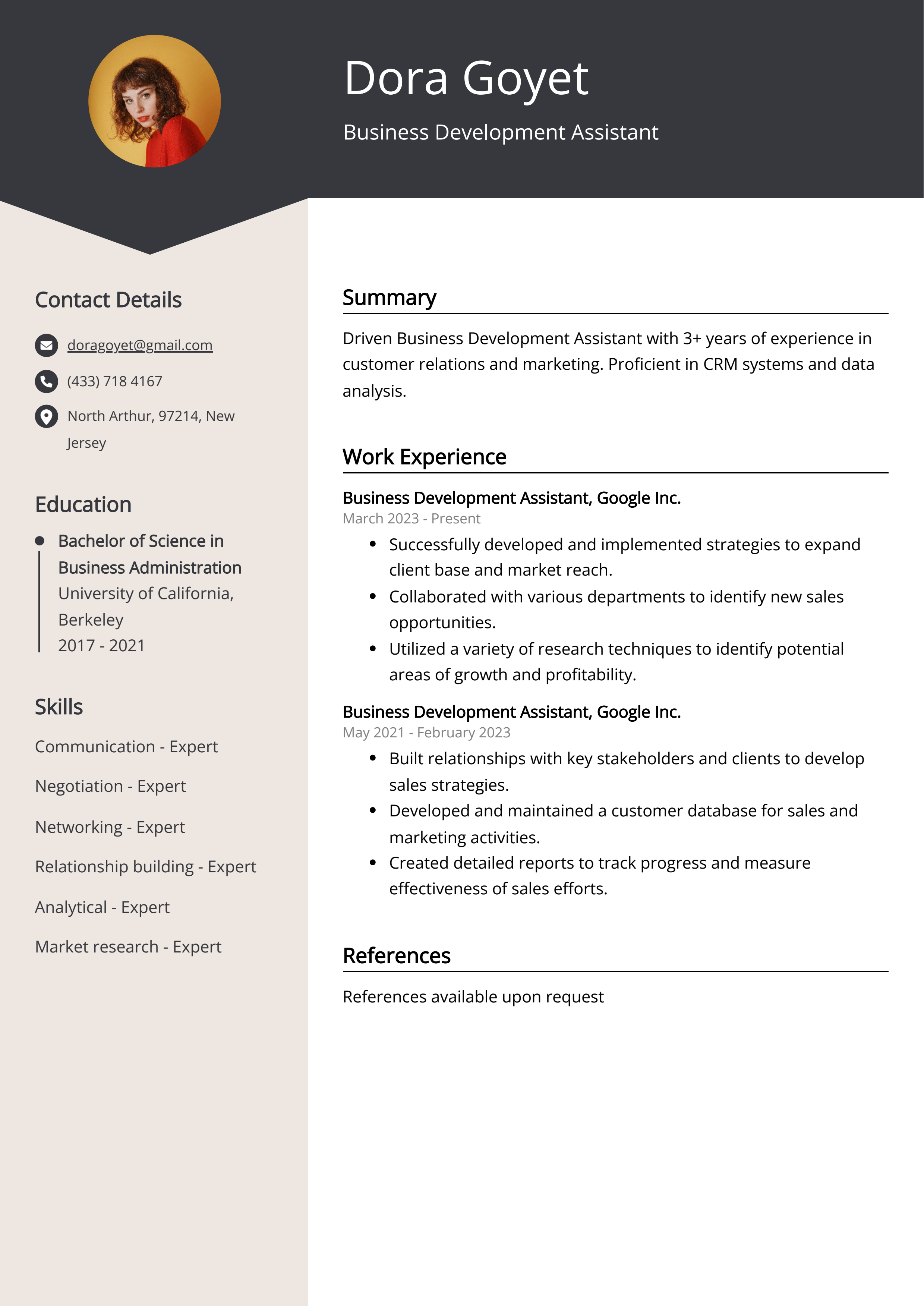 Business Development Assistant CV Example For 2024
