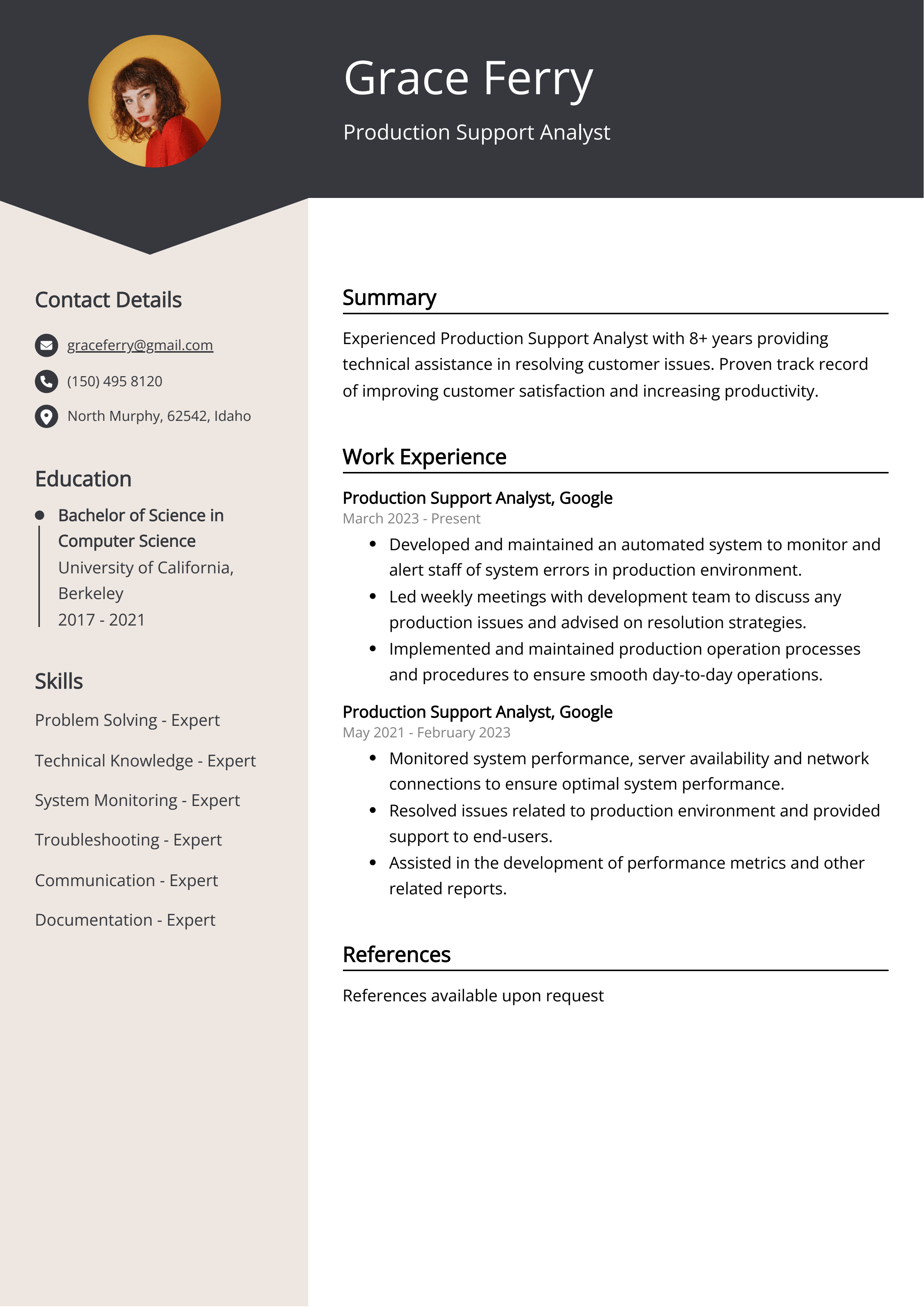 Production Support Analyst CV Examples Template 20 Tips 