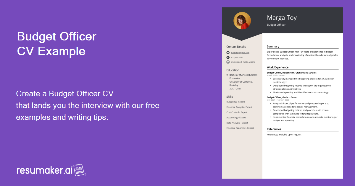 Budget Officer CV Example for 2025 (Skills & Templates)
