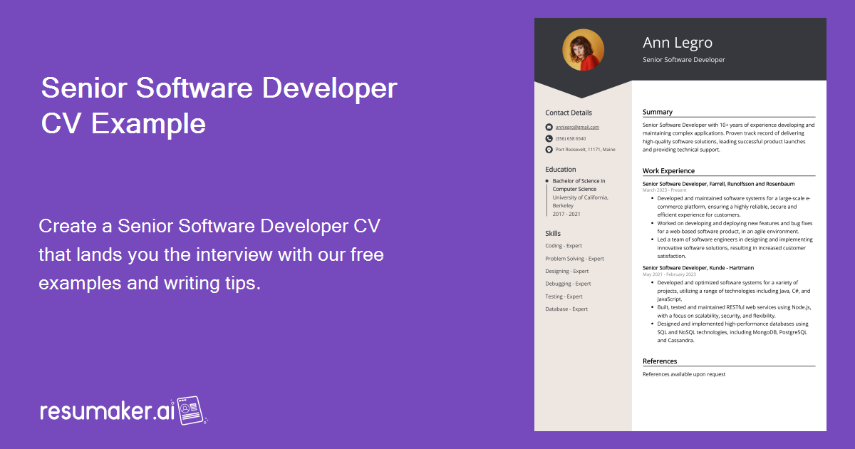 Senior Software Developer CV Examples (Template & 20+ Tips)
