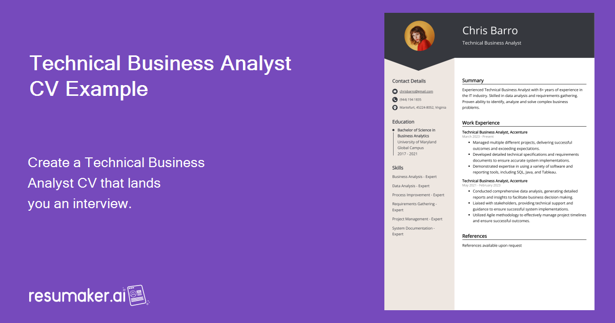 Technical Business Analyst CV Examples (Template & 20+ Tips)