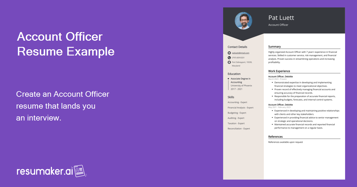 Account Officer Resume Example for 2024