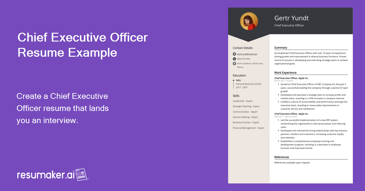 Chief Executive Officer Resume Example for 2025
