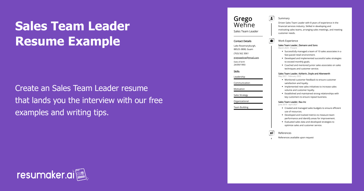Sales Team Leader Resume Example (Free Guide)